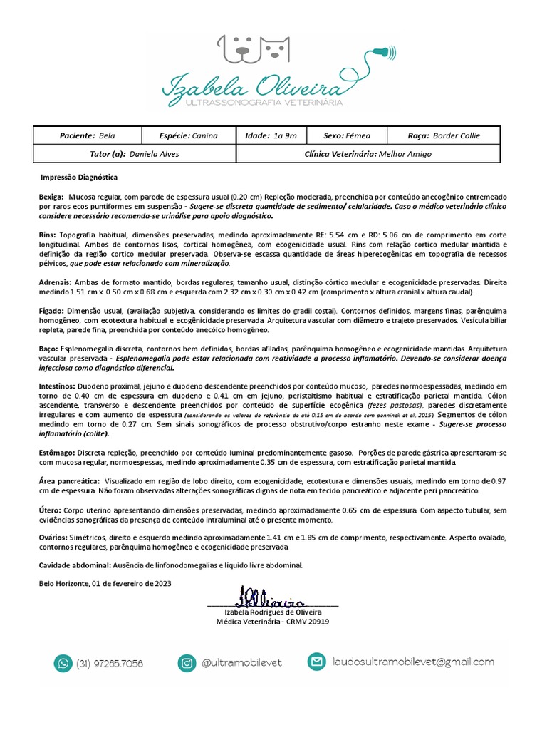 Colite e Doença Intestinal Inflamatoria | PDF | Imagiologia médica ...