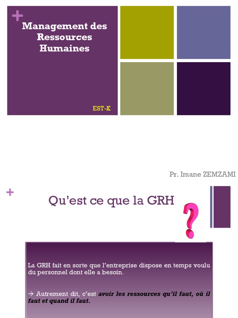 Guide Pratique de la GRH | PDF | Gestion des ressources humaines | Recrutement