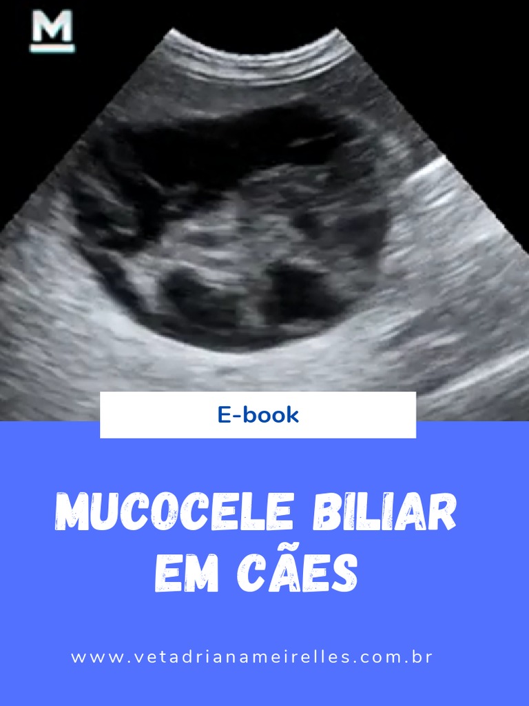Mucocele em Cães | PDF | Bile | Colesterol