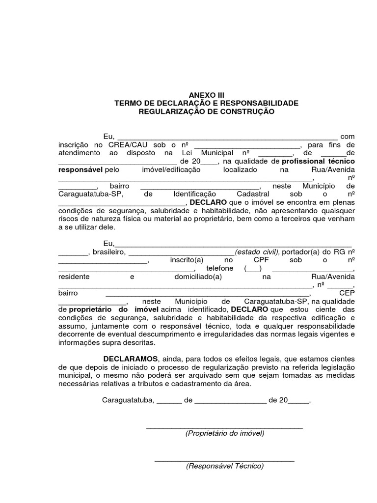 Lei 2579 21 Anexo III Termo de Declaracao e Responsabilidade | PDF
