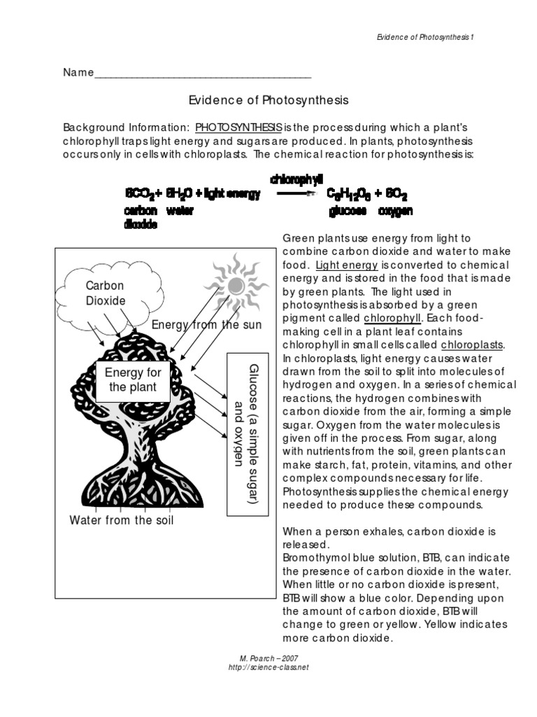 Bromothymol Blue Photosynthesis Lab | PDF | Photosynthesis | Chloroplast
