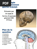 Anatomie et Fractures du Rocher | PDF | Tête et cou chez l'humain ...