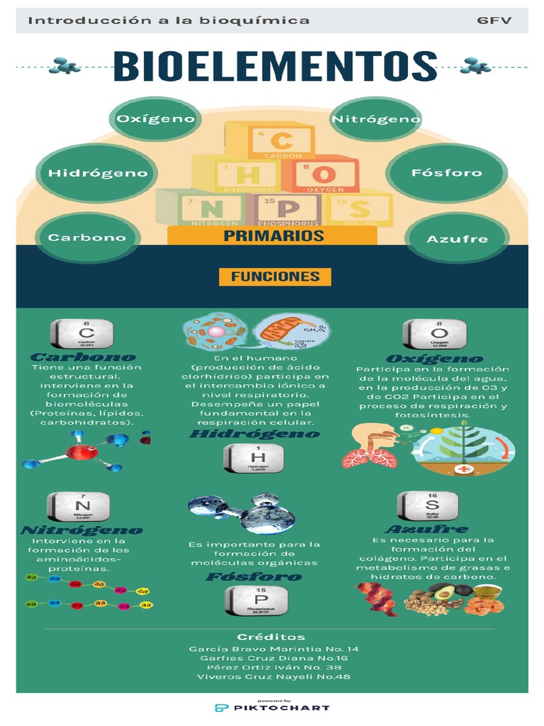Bioelementos Primarios | PDF