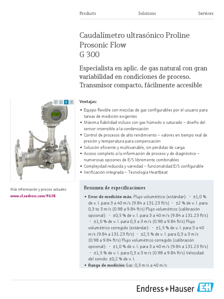 Catalogo Endress-Hauser Proline Prosonic Flow G 300 | PDF | Gas natural ...