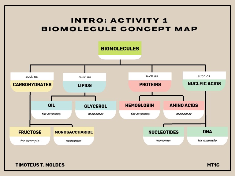 Intro Activity 1 Biomolecule Concept Map | PDF