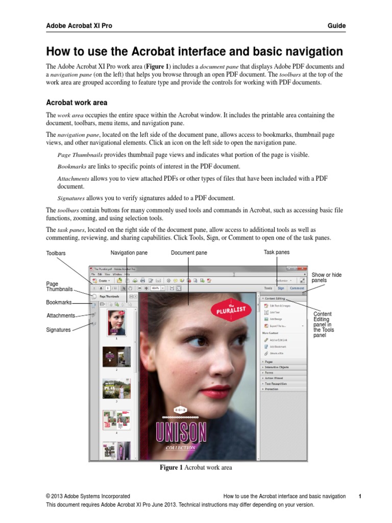 AXI Howto Use Acrobat Interface | PDF | Software | Computing