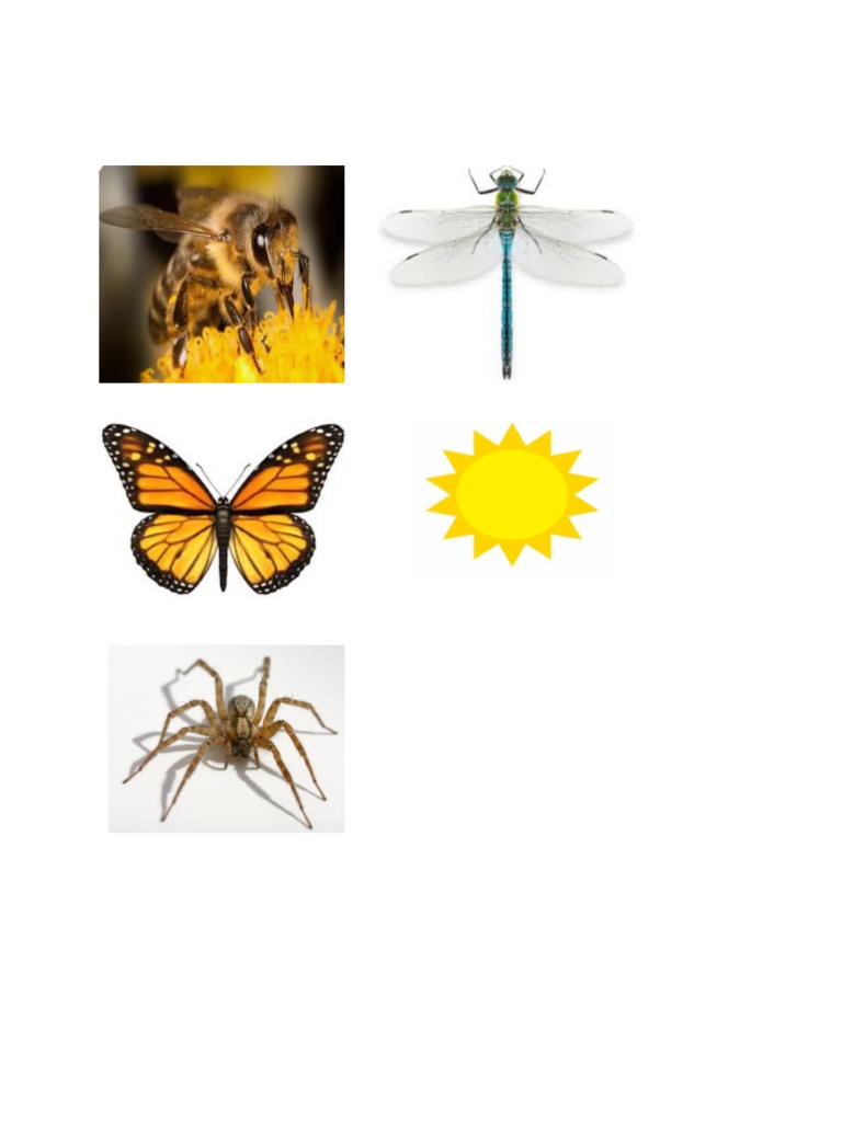 Document Print GMRC | PDF