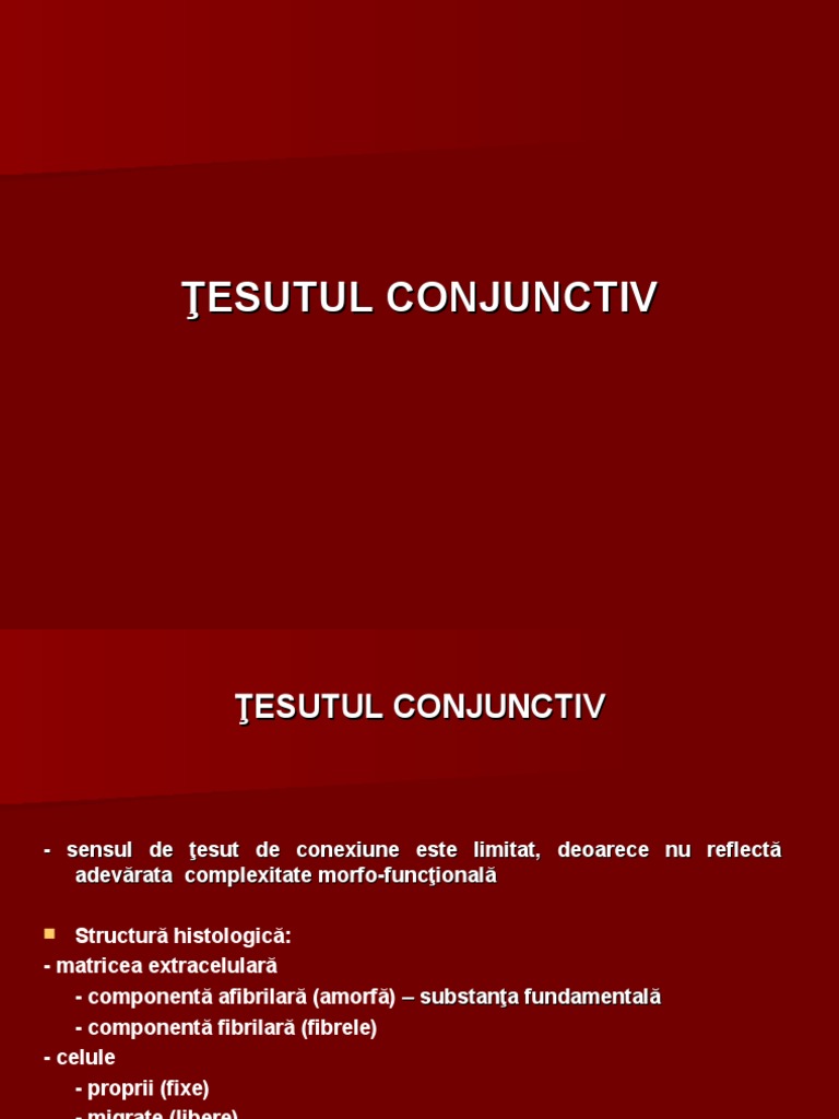 Conjunctiv 1 MD 2022-2023 | PDF