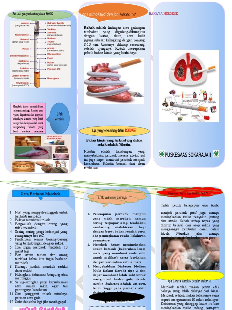 Bahaya dan Kandungan Rokok | PDF