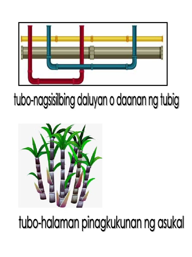 Homonyms Tagalog | PDF