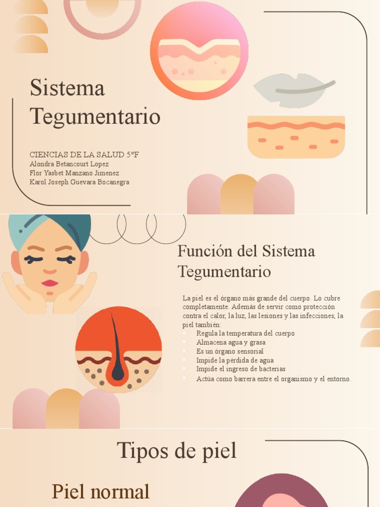 Sistema Tegumentario KJGB | PDF | Cáncer | Piel