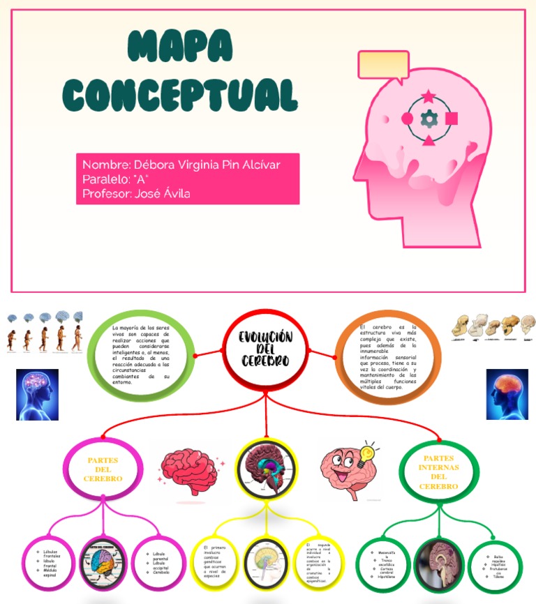 Mapa Conceptual Fundamentos de La Neuroeducacion 13.12.22 | PDF | Cerebro | Sistema nervioso