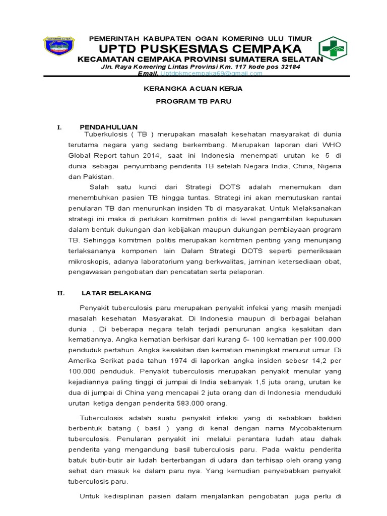 PDF Kerangka Acuan Program TB Paru | PDF