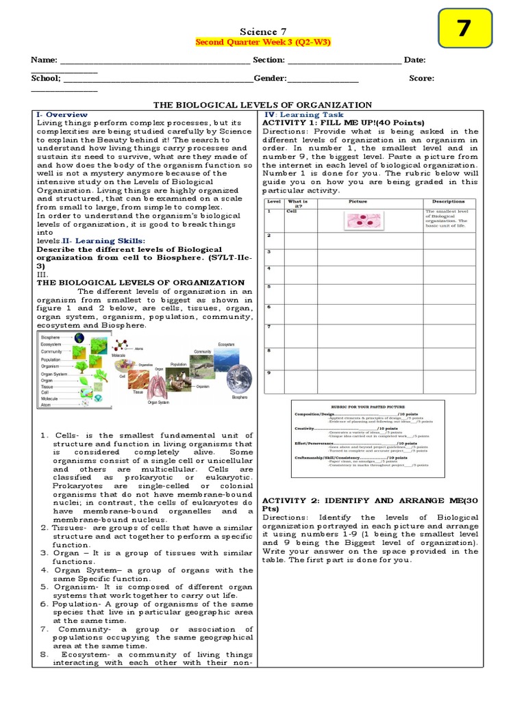 Science 7 w3 | PDF | Cell (Biology) | Organisms