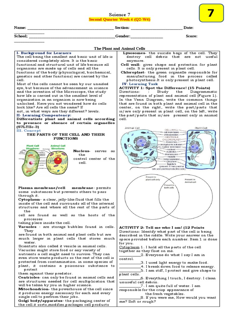 Science 7 w4 | PDF | Cell (Biology) | Vacuole