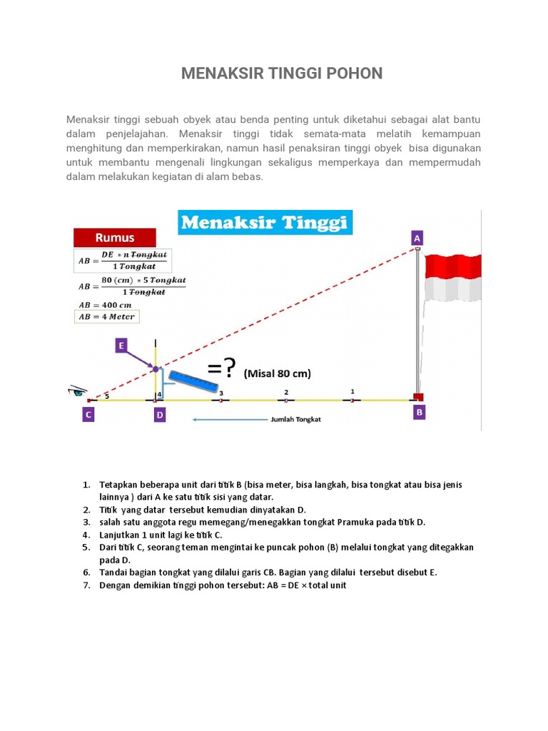 Menaksir Tinggi Materi 2 | PDF