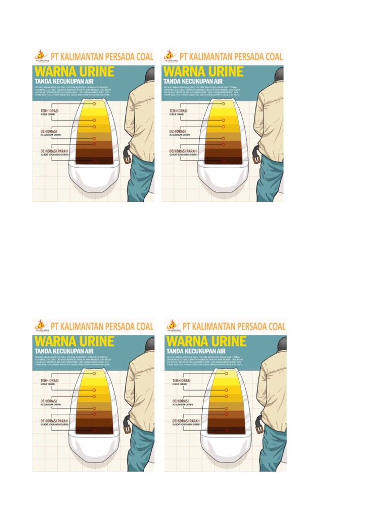 Warna Urin | PDF