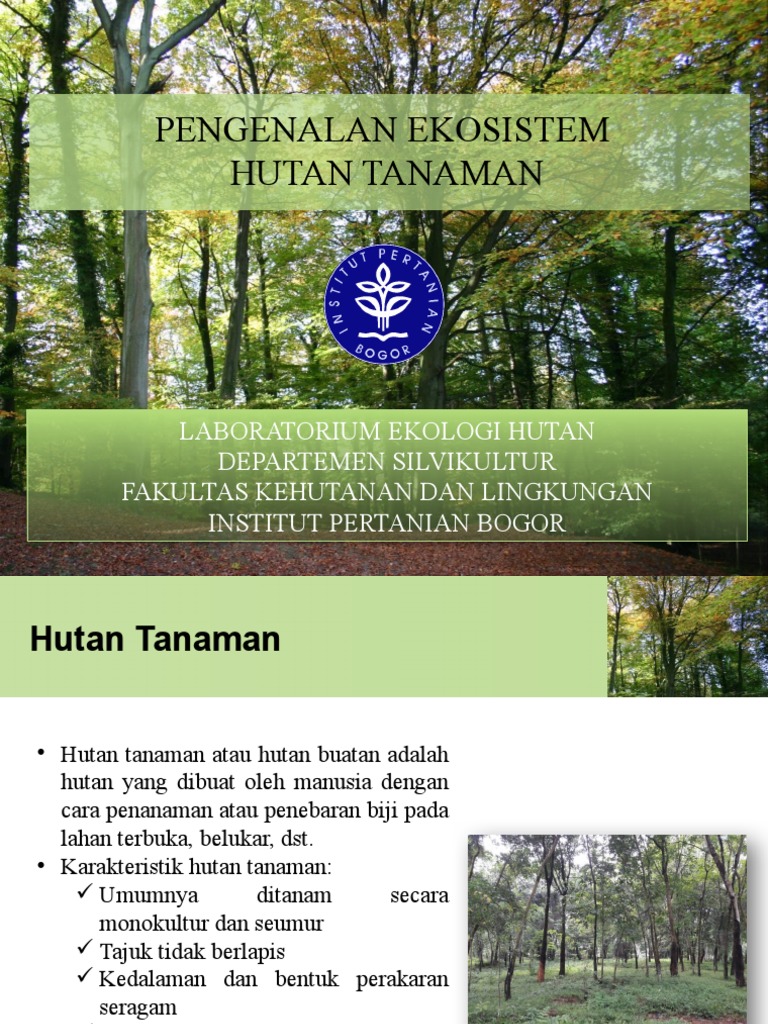P3 - Pengenalan Ekosistem Hutan Tanaman | PDF