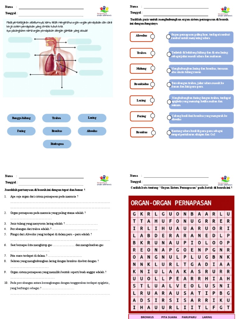 Rongga Hidung Trakea Laring | PDF