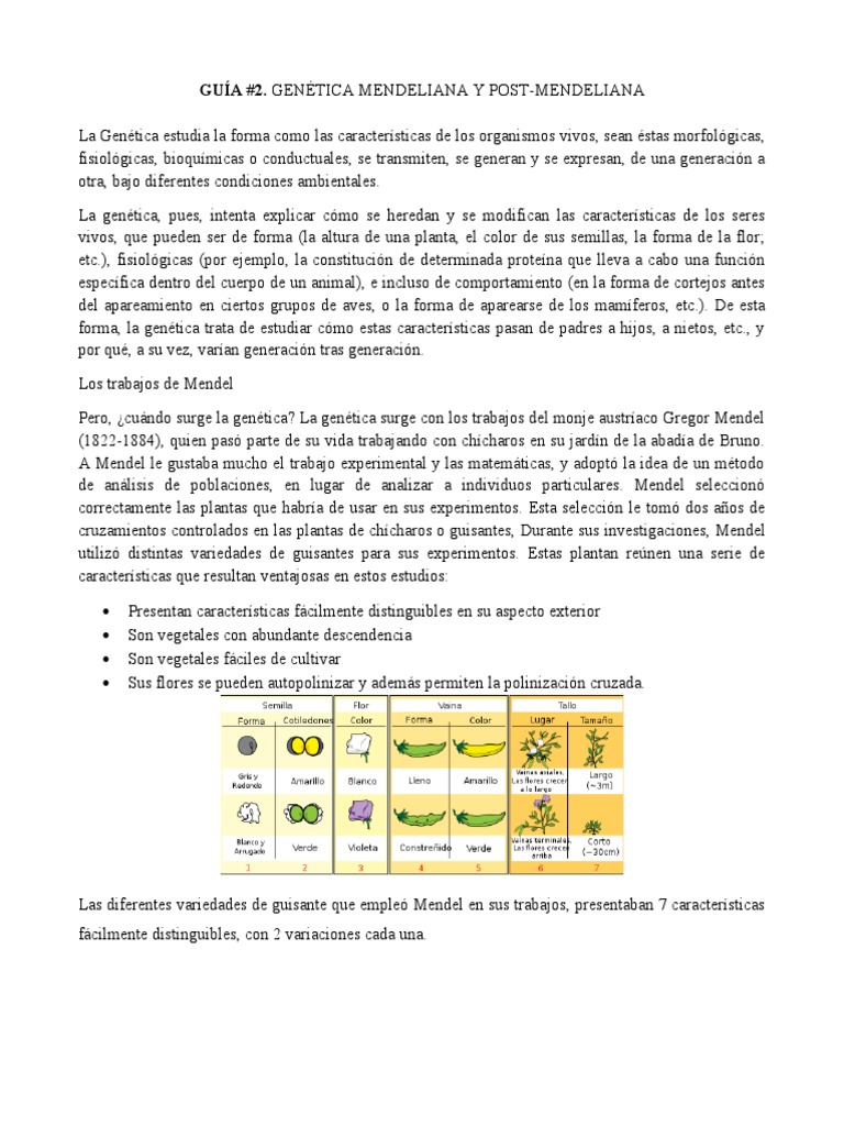 Guia # 2 Genetica Mendeliana | PDF | Dominancia (Genética) | Alelo