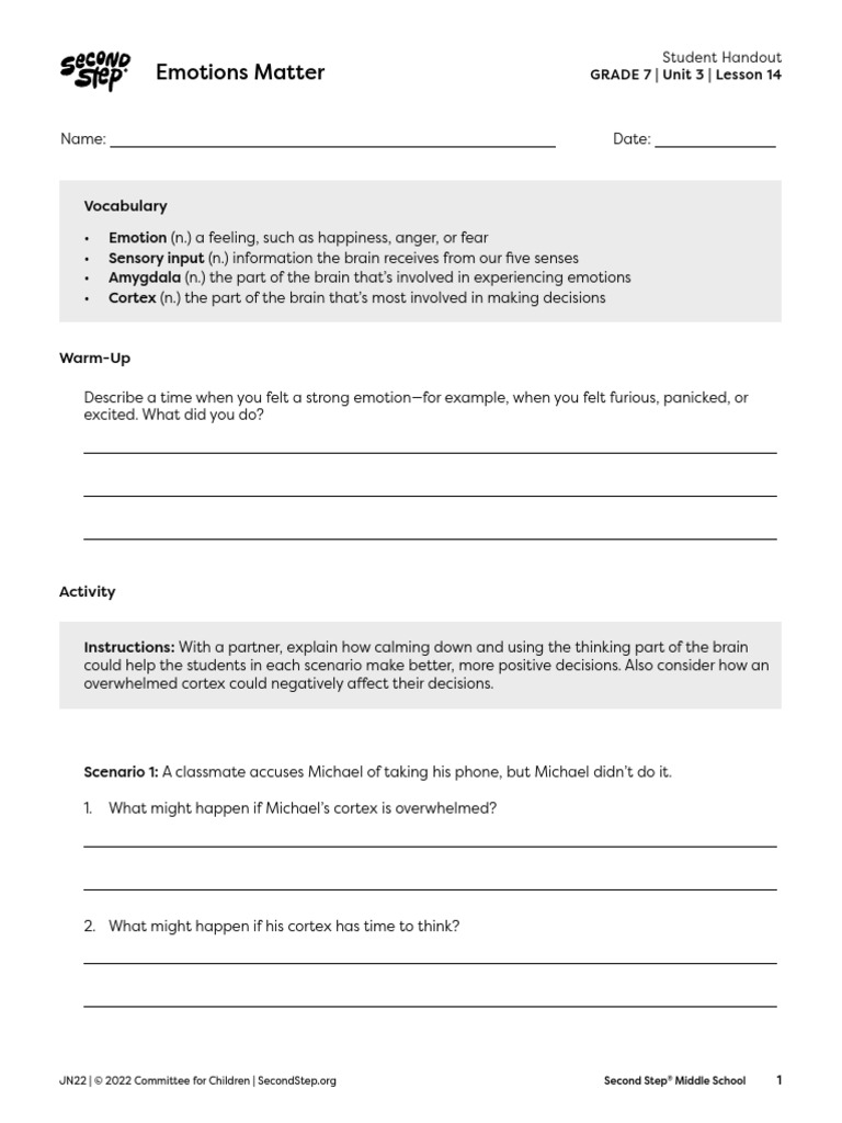 Second Step - Lesson 14 | PDF | Emotions | Brain