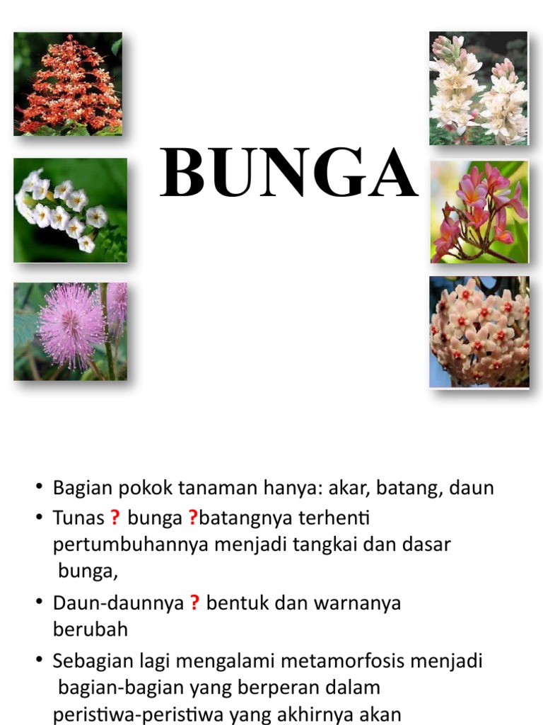 Teori Bunga | PDF