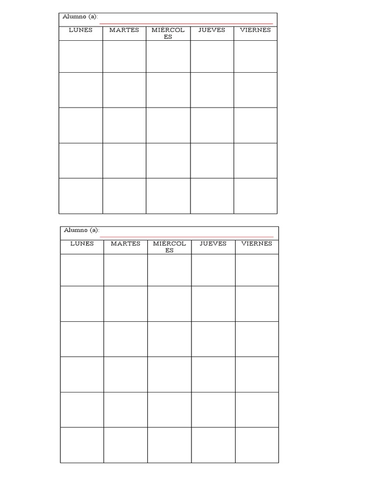 Formato Trabajos Diarios | PDF