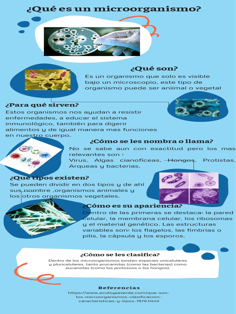 A1. 3er Parcial. ?¿qué Es Un Microorganismo | PDF