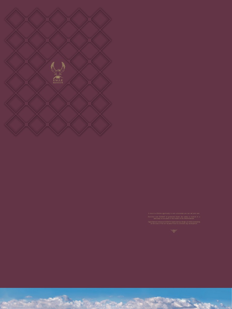 Eagle Mansion Brochure | PDF