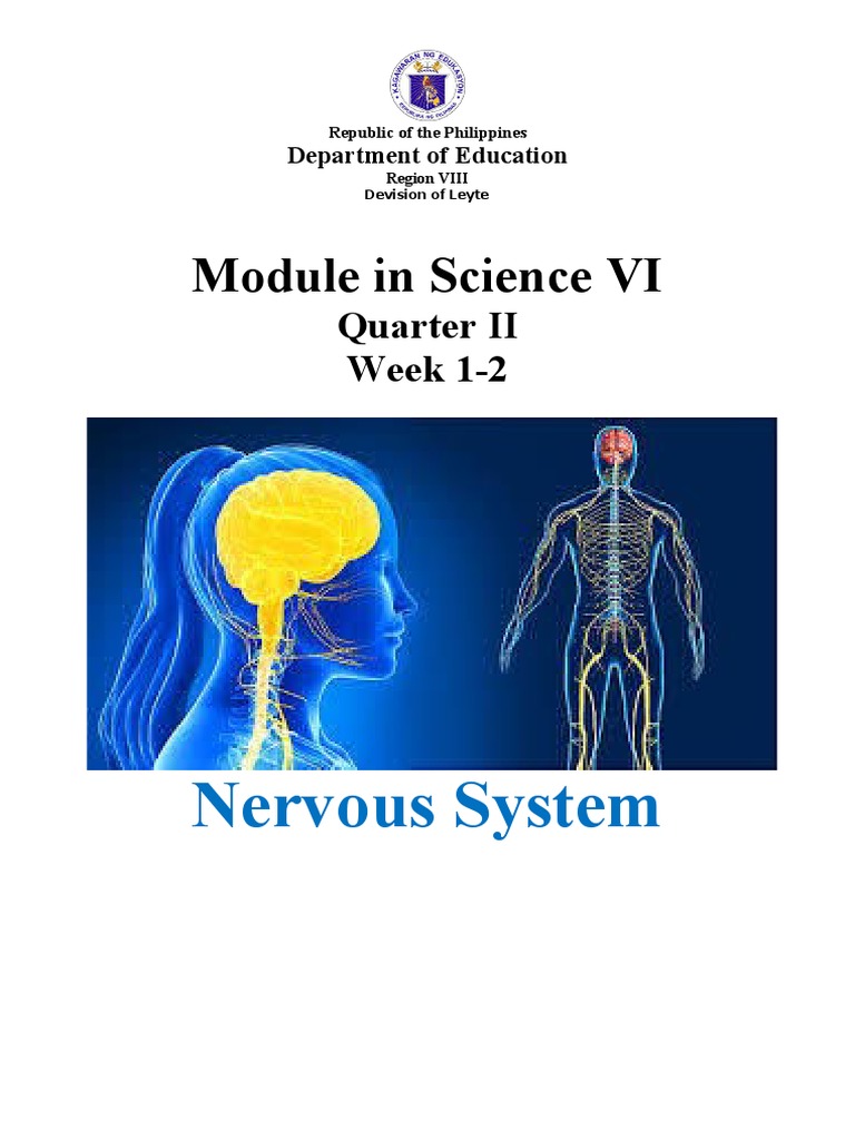 Science Vi-Quarter 2 Module (Week 1-2 Nervous System) | PDF | Neuron ...