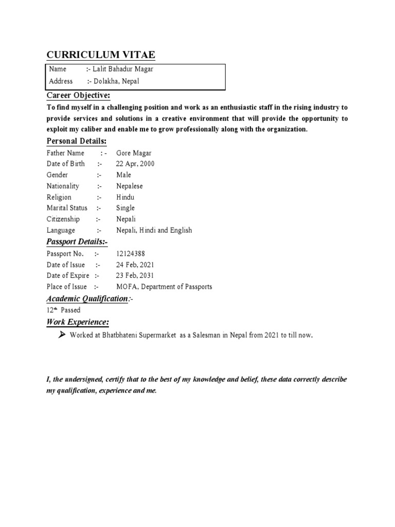 CV Format | PDF