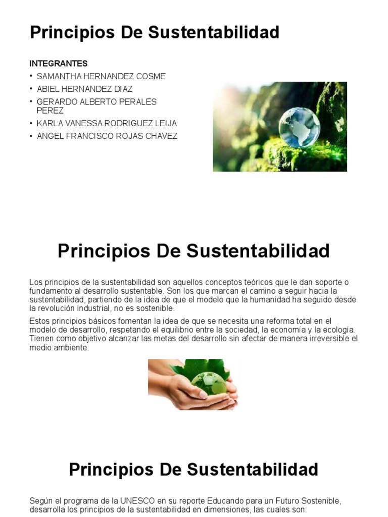 Principios de Sustentabilidad | PDF | Sustentabilidad | Desarrollo sostenible