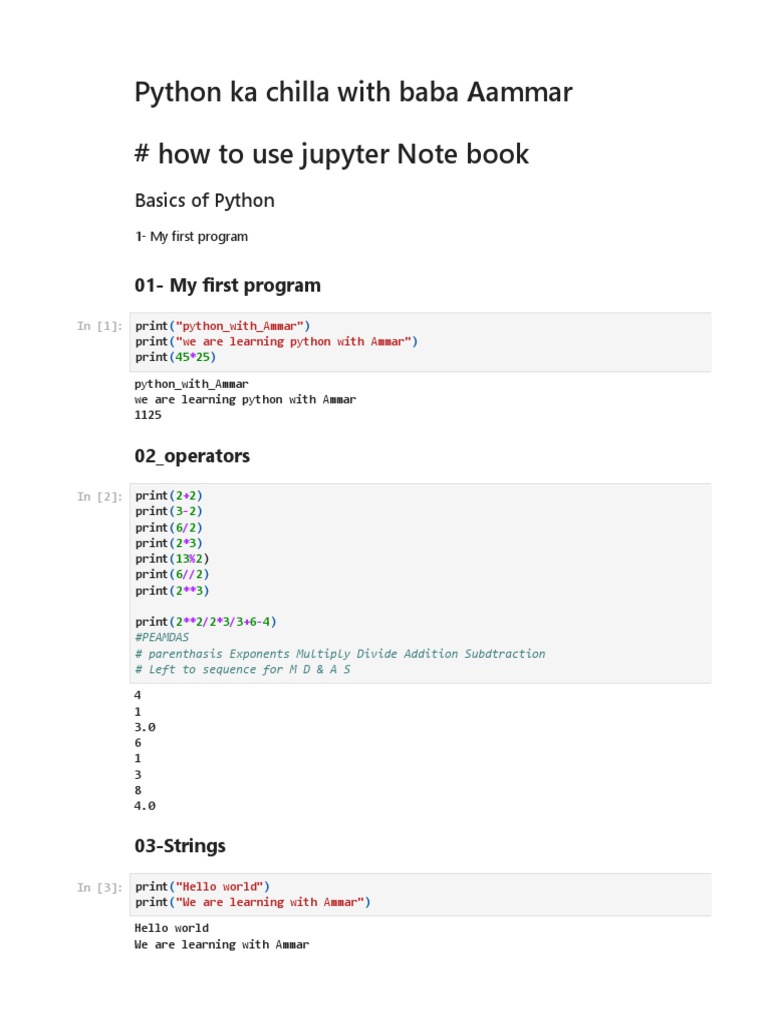My Python First Day Notesbook Pdf Variable Computer Science Python Programming Language