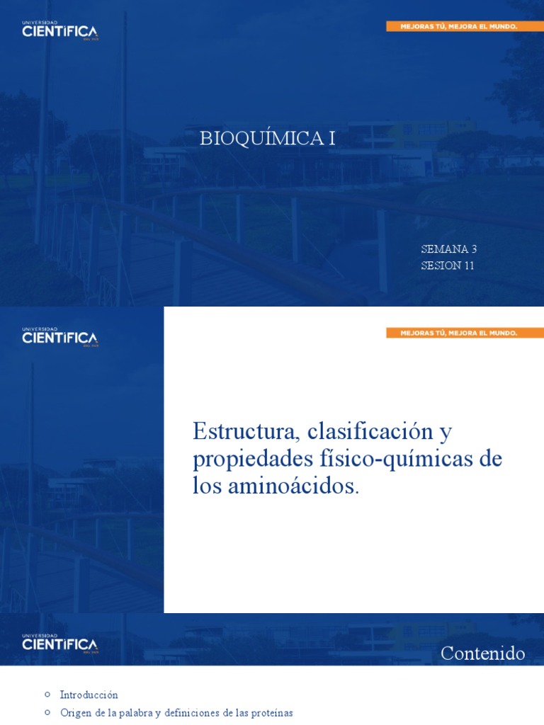 PPT_+BIOQU%C3%8DMICA+I_SEM-03_SESION-11_2023-0 | PDF | Aminoácidos ...