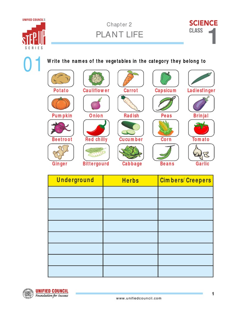 Chapter-2 Stepup Science Class 1 QP | PDF | Vegetables | Foods