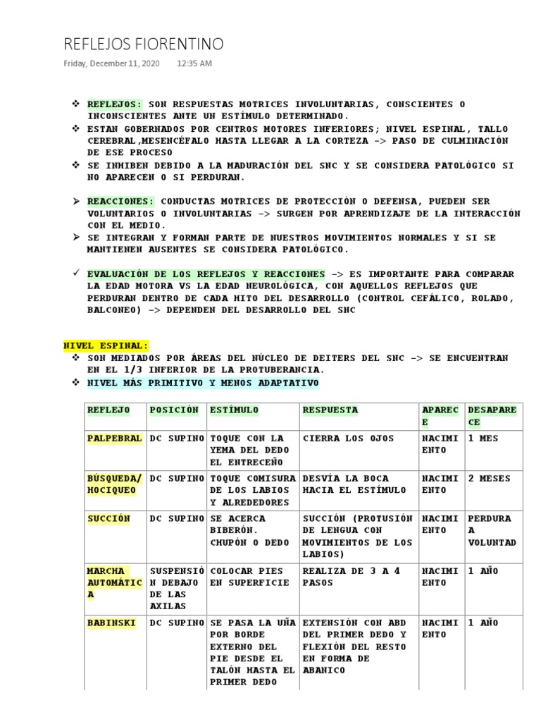 Reflejos Fiorentino | PDF | Pie | Mano