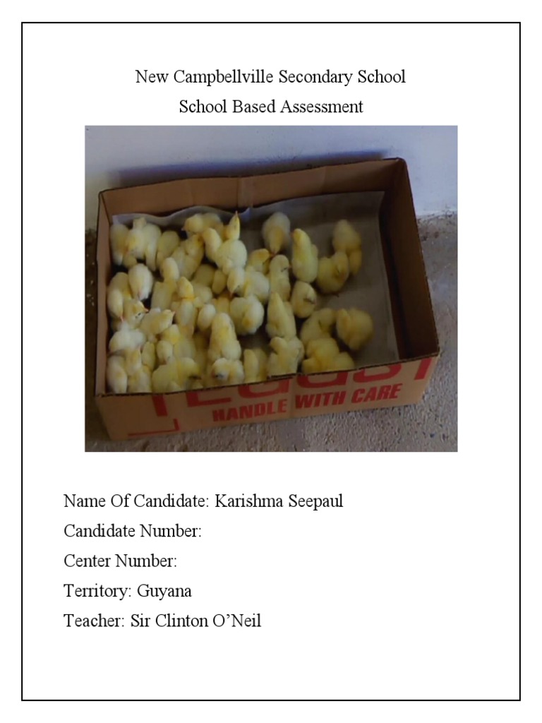 Agriculture Science SBA Sample | PDF | Brown Sugar