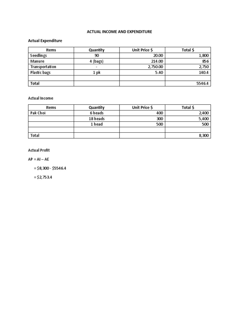 Actual Income and Expenditure | PDF