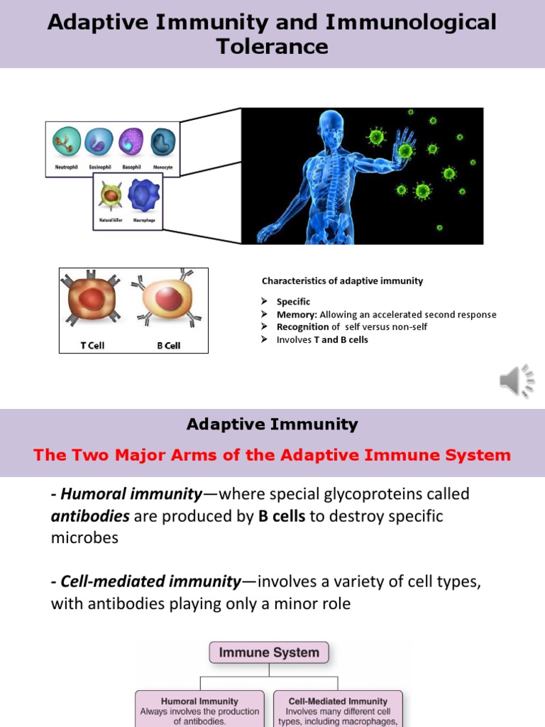 Lecture 2 Adaptive Immunity And Immunological Tolerance Pdf Immune