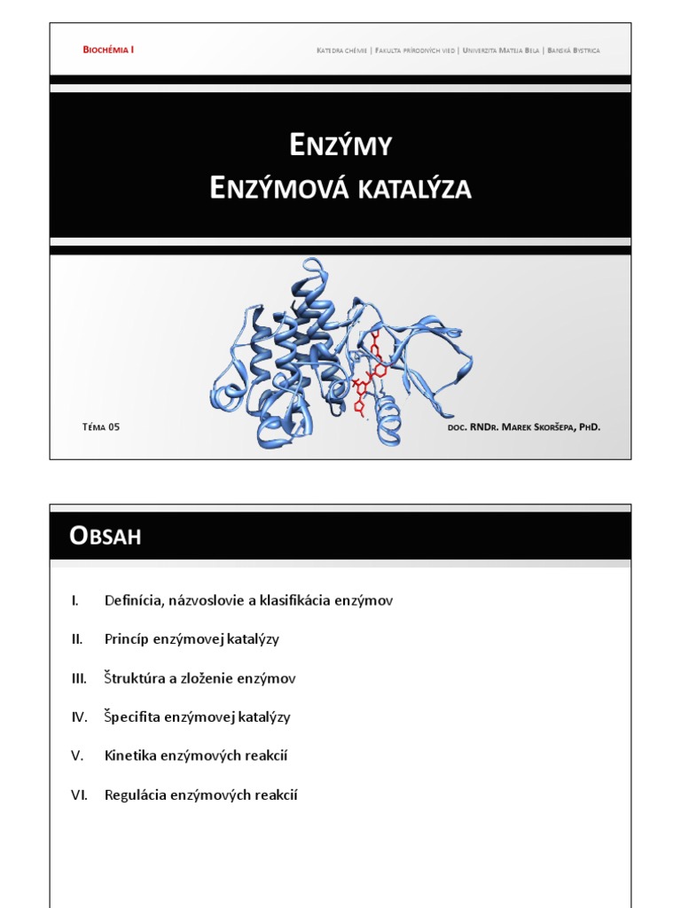 05 Enzymy | PDF