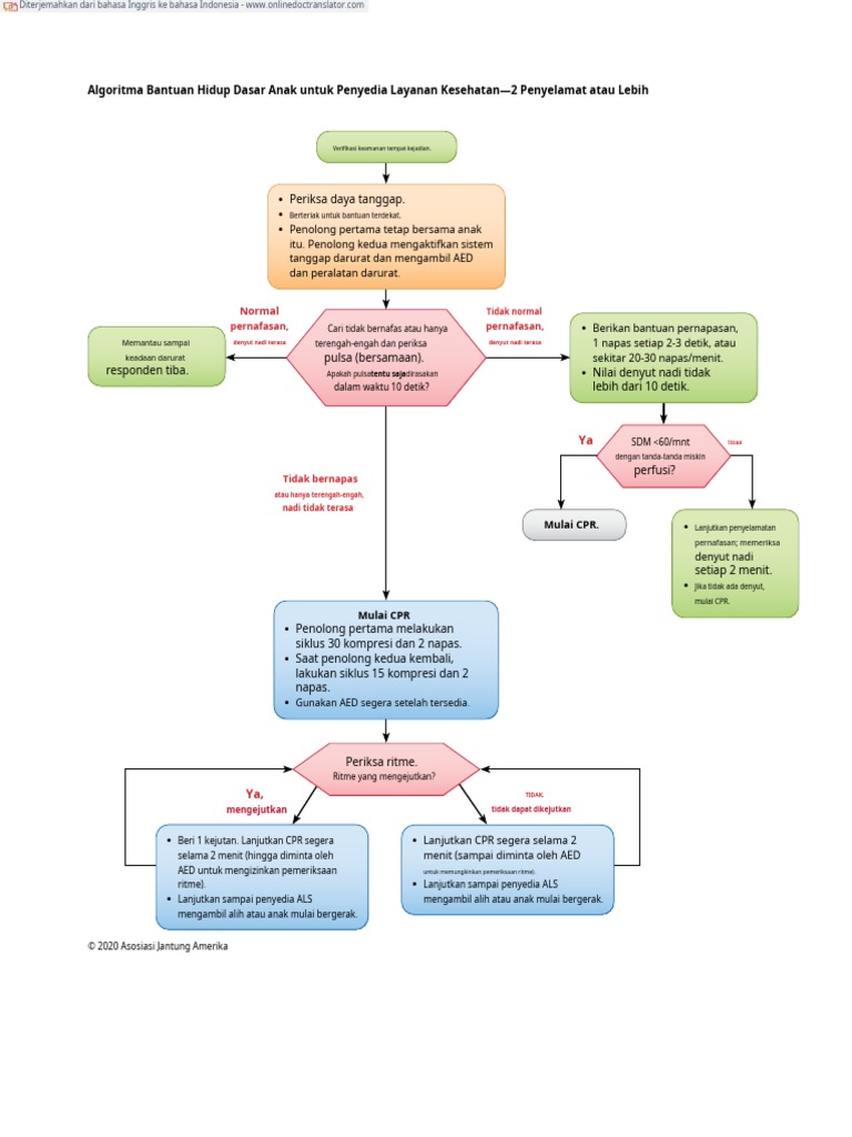 AlgorithmBLS Ped 2 Rescuers 200624.en - Id | PDF