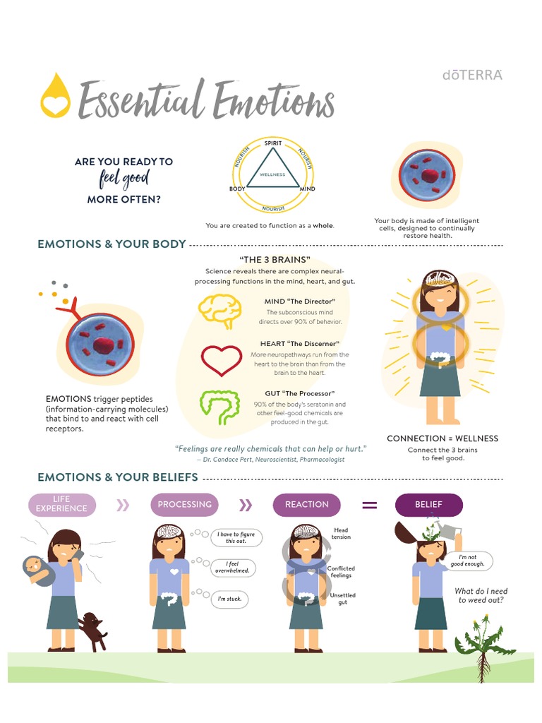 Essential Emotions Class Handout | Download Free PDF | Emotions ...