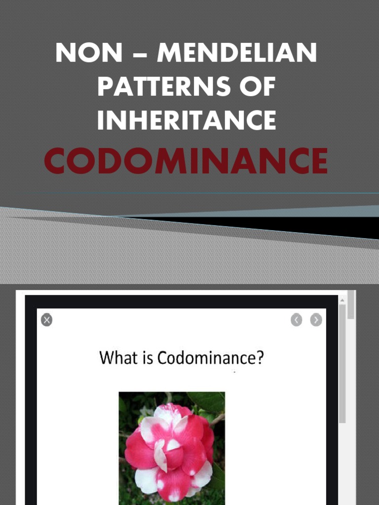 Codominance:NON - MENDELIAN PATTERNS OF INHERITANCE - Module3 | PDF Codominance:NON - MENDELIAN PATTERNS OF INHERITANCE - Module3 | PDF
