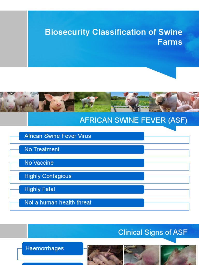 Classification Of Biosecurity Levels Pdf Medical Specialties