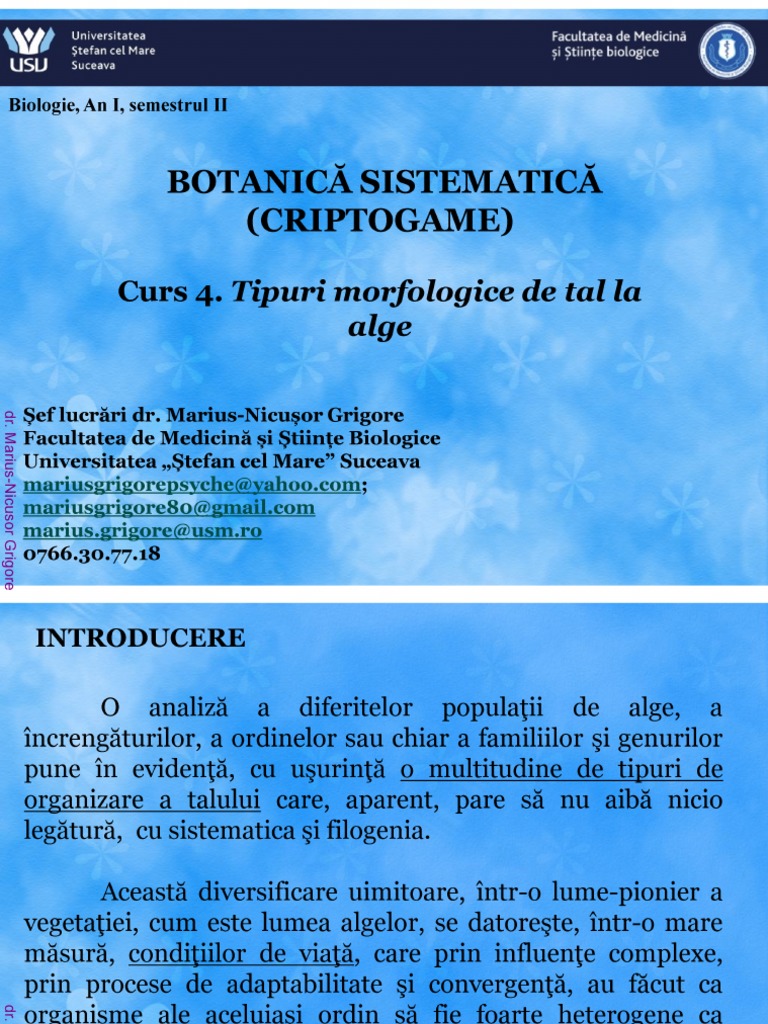 CURS 4. Tipuri de Tal La Alge | PDF