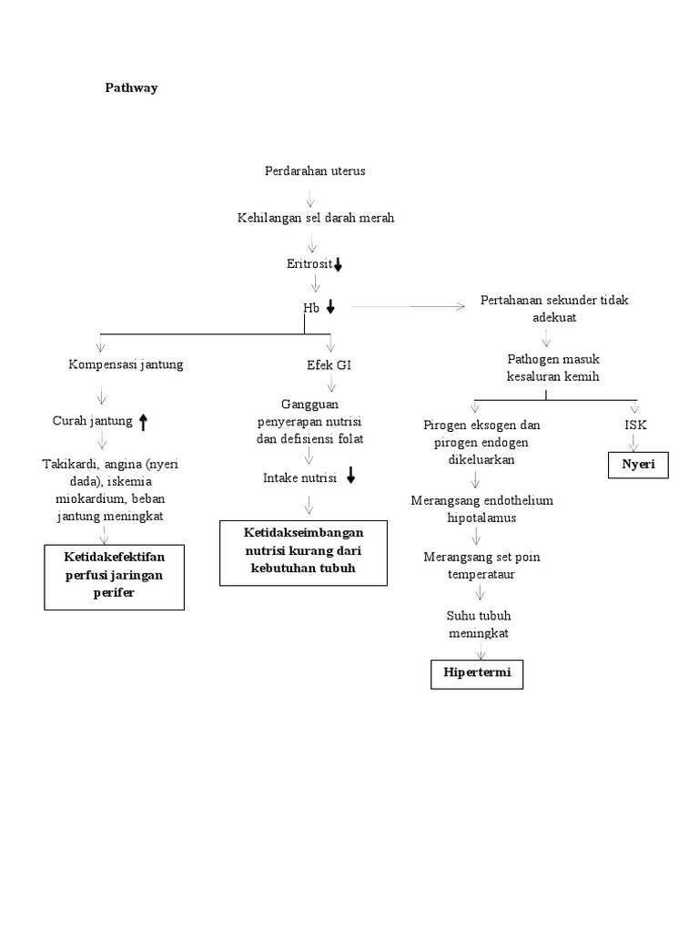 Patofisiologi Anemia | PDF
