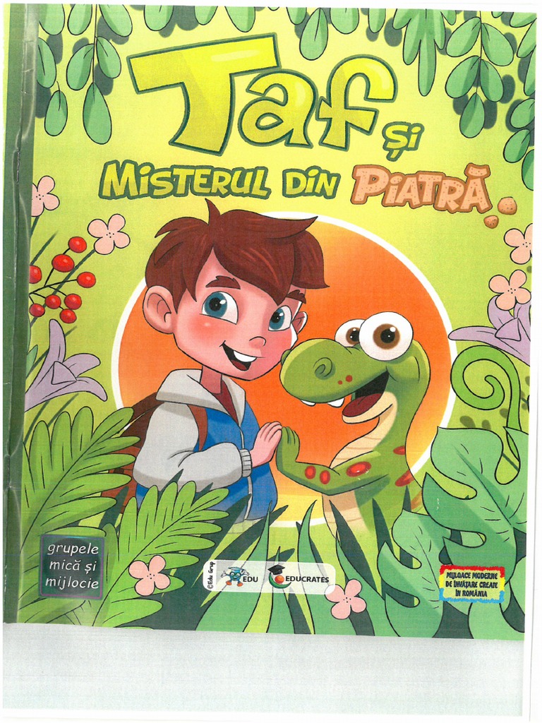 Carte - TAF - Misterul Din Piatra | PDF