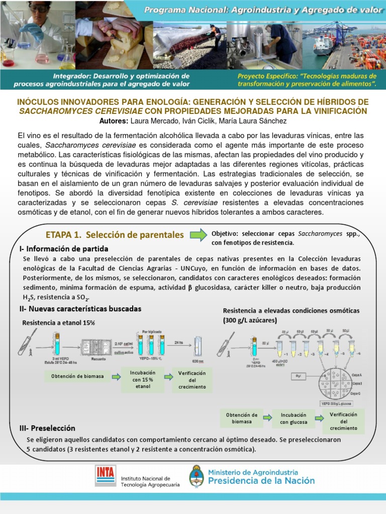 Inta Inoculos Innovadores para Enologia Seleccion Hibridos ARTICULO ...