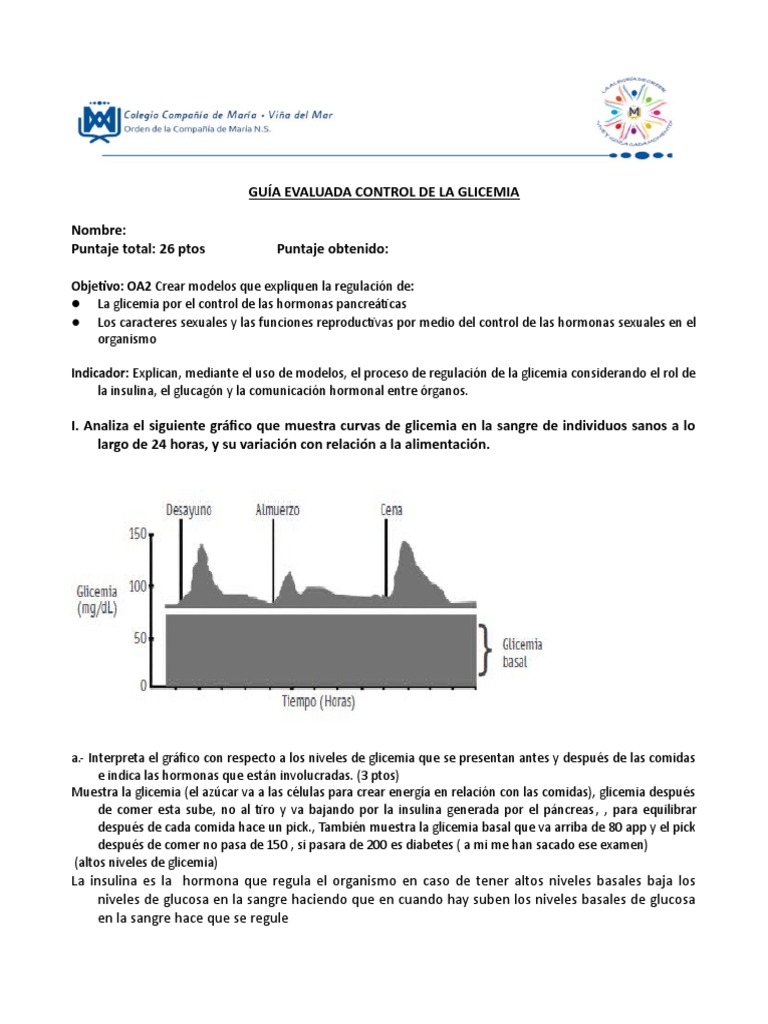Control Glicemia Terminado | PDF | Insulina | Homeostasis