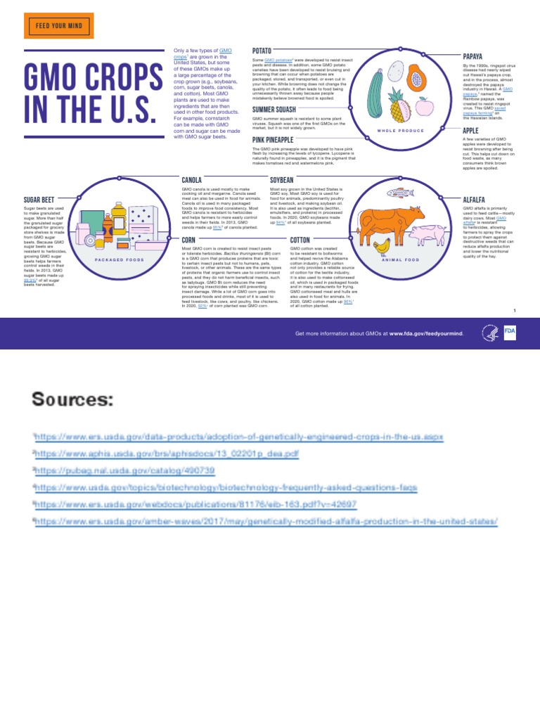 Ag Biotech - What GMO Crops Are Grown and Sold - 08042022 | Download Free PDF | Genetically ...